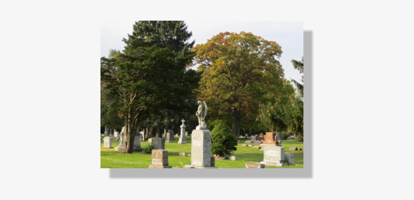 Cemetery Transparent PNG - 429x323 - Free Download on NicePNG