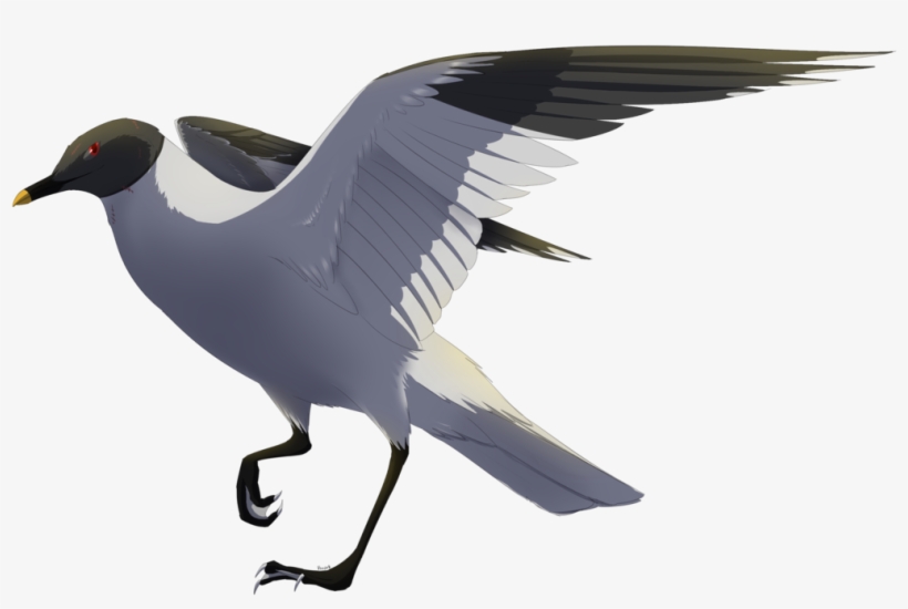 Evil Bird Png - Digital Art Transparent PNG - 1024x647 - Free Download ...