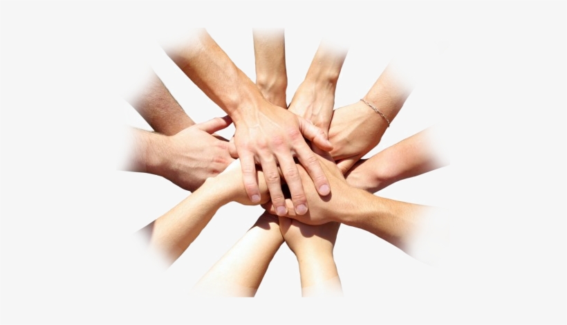 Download Gallery Clip Library - Unity Hands Png - HD Transparent PNG ...