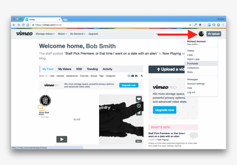 Vimeo-account - Web Page Transparent PNG - 1411x920 - Free Download on ...
