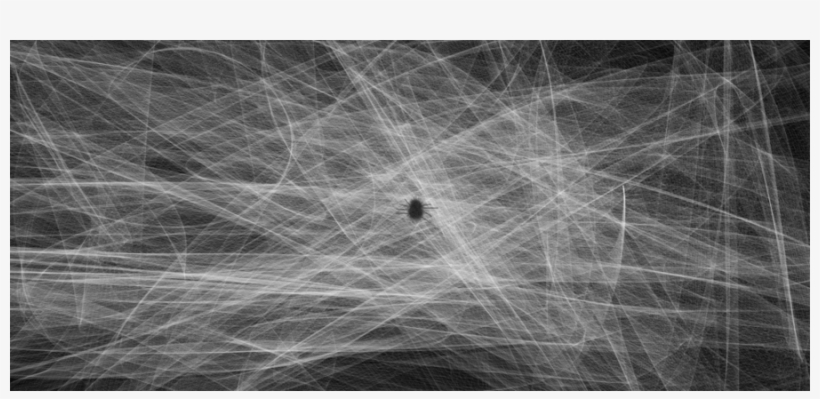 Spider Web Texture Png - Monochrome Transparent PNG - 900x395 - Free ...