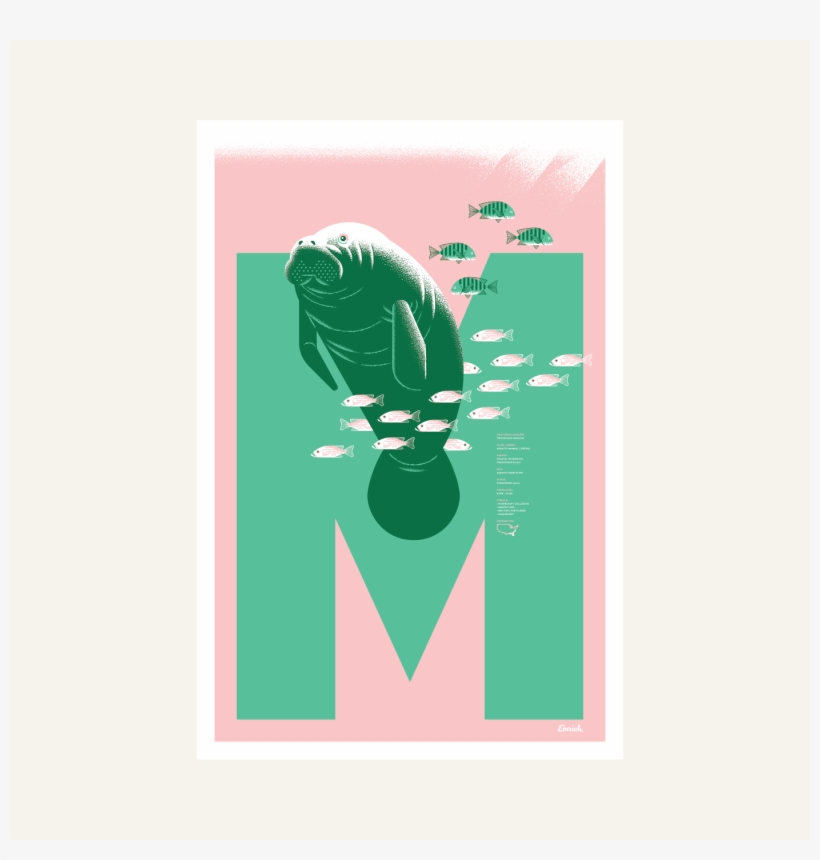 Manatee Transparent PNG - 1400x1400 - Free Download on NicePNG