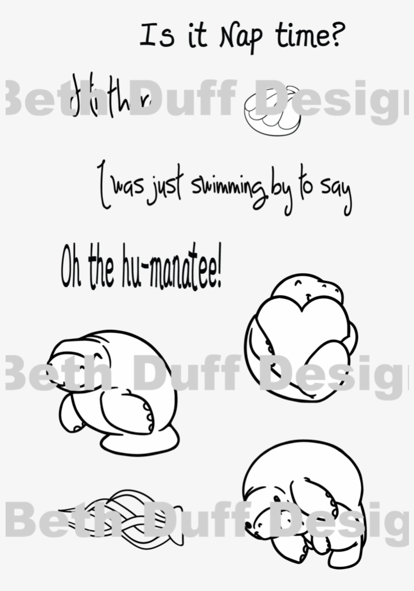 Manatee Transparent PNG - 800x1200 - Free Download on NicePNG