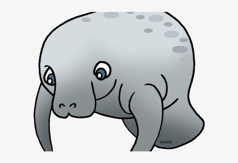 Clipart Manatee