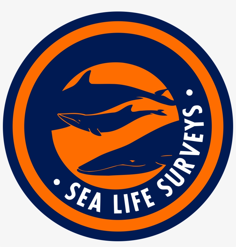 Download Sea Life Surveys Logo Png Transparent - Portable Network ...