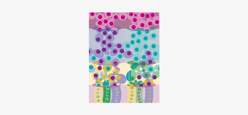 Single Cell Profiling Of The Developing Mouse Brain - Rna-seq ...