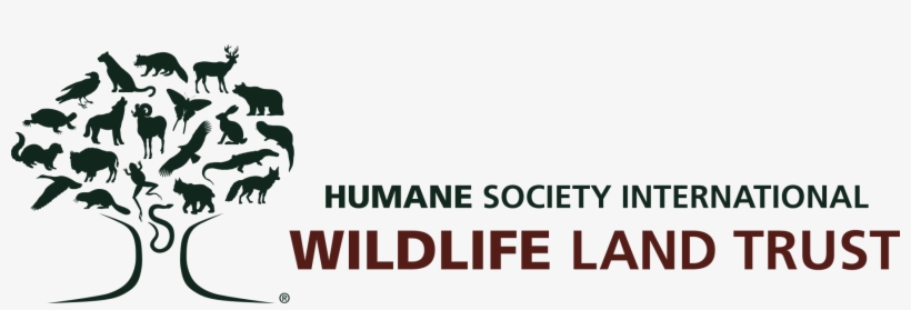 Humane Society International Logo