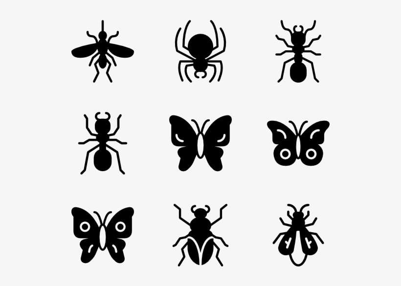 Bugs & Insects 50 Icons - Istock Transparent PNG - 600x564 - Free ...