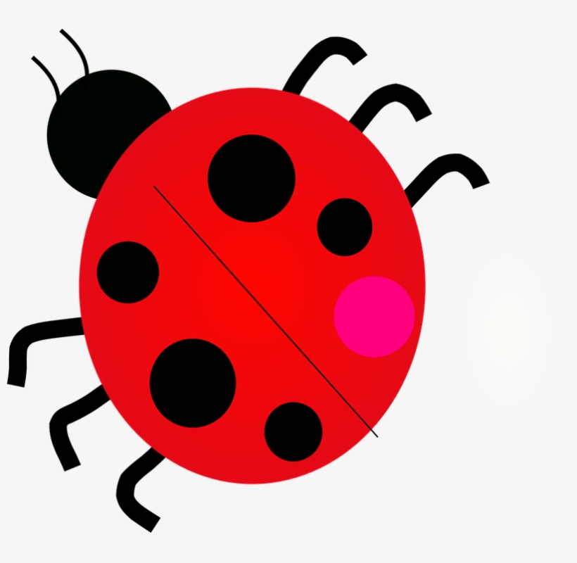 Download May Beetles - Clip Art Lady Bug - HD Transparent PNG - NicePNG.com