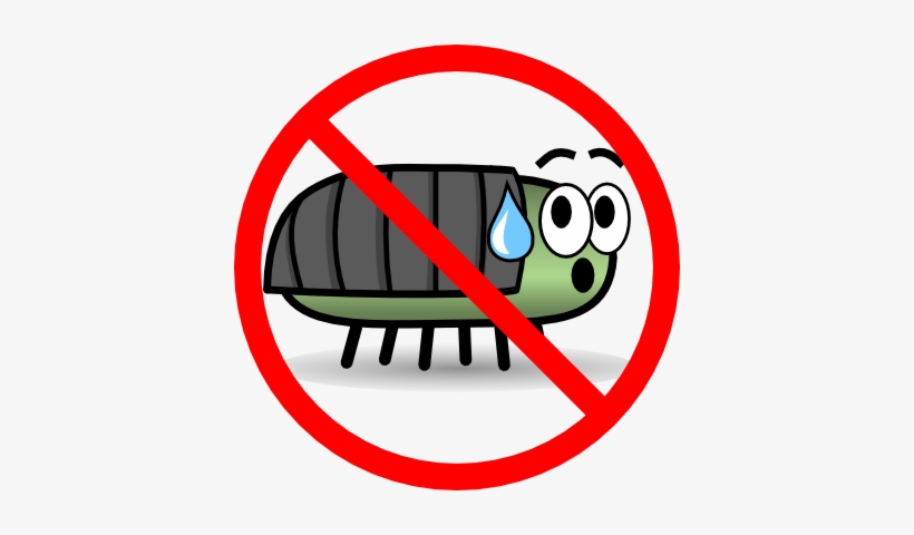 The Best Known Software Bugs In History - Software Bug Transparent PNG ...