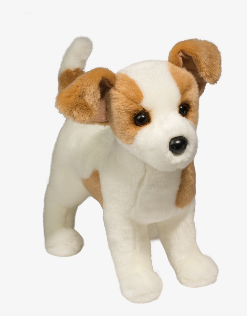 Douglas Rescue Pups Diesel Jack Russell Chihuahua Mix - Douglas Diesel ...