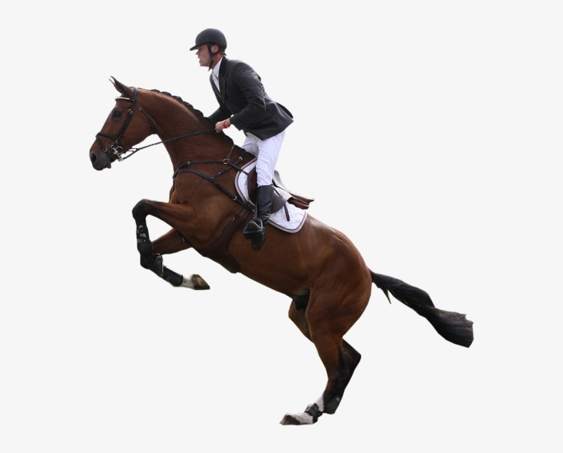 Download Horses Transparent Jumping - Horse Jumping Transparent - HD ...