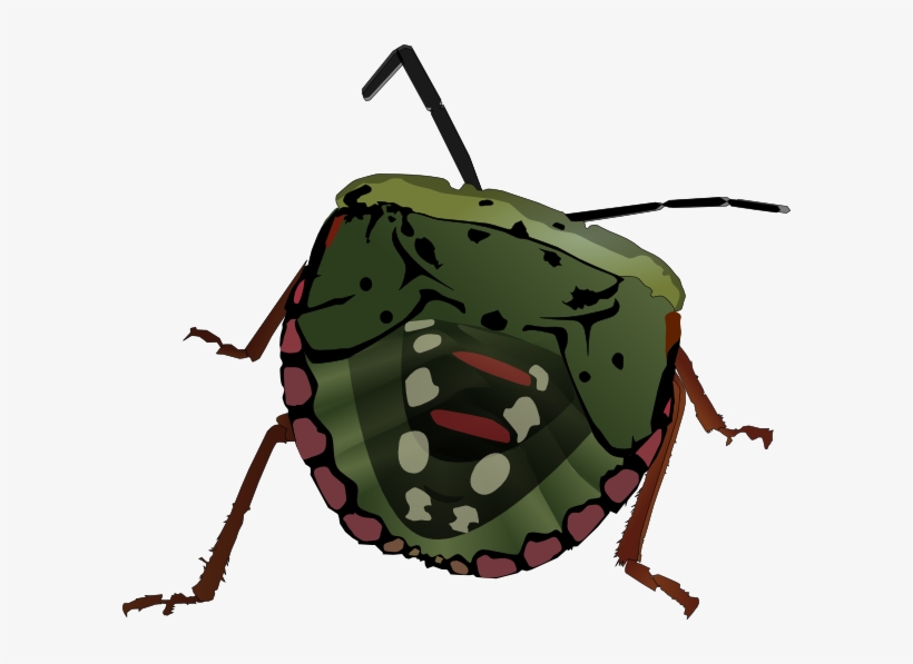 Original Png Clip Art File Stink Bug Svg Images Downloading Transparent ...