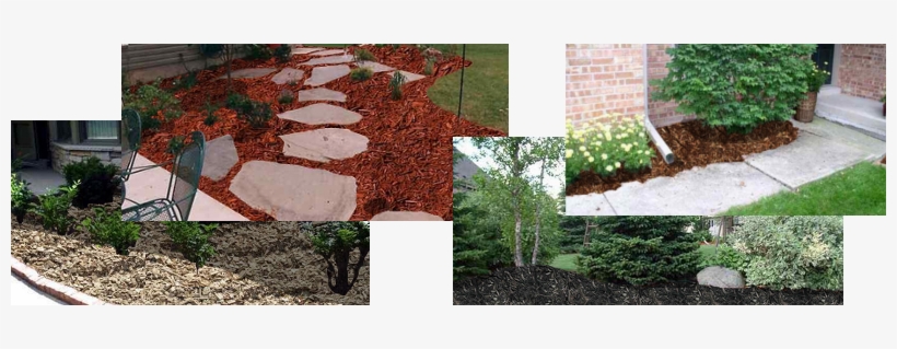 Mulch Examples - Mulch Transparent PNG - 800x239 - Free Download on NicePNG