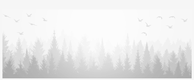 Trees Background - Monochrome Transparent PNG - 2000x1172 - Free ...