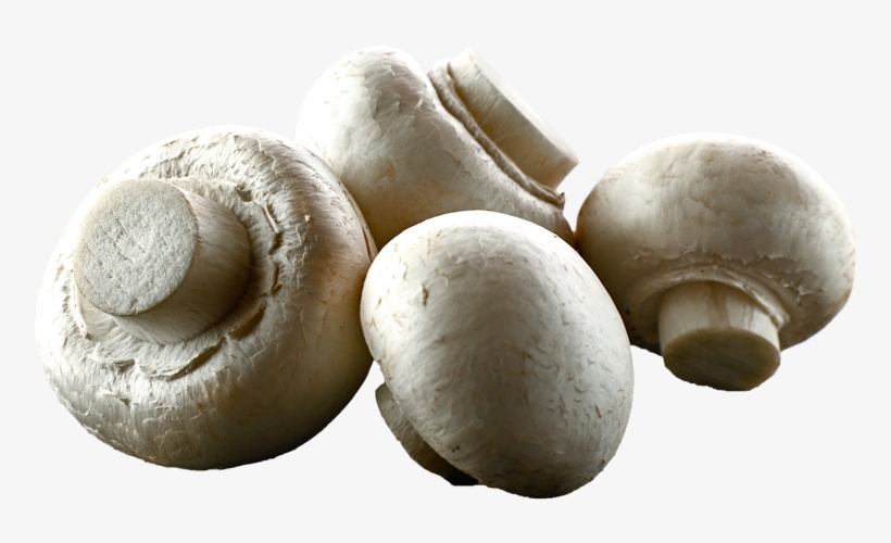 White Button Mushrooms - Button Mushroom Png Transparent PNG - 800x800 ...