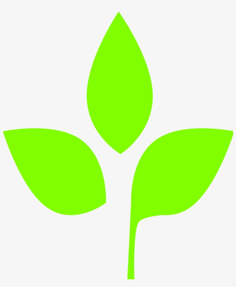 Open - 3 Leaves Vector Png Transparent PNG - 1000x1164 - Free Download ...