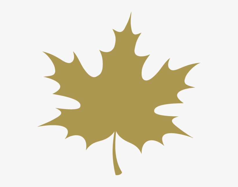 Maple Leaf Icon Transparent PNG - 563x563 - Free Download on NicePNG
