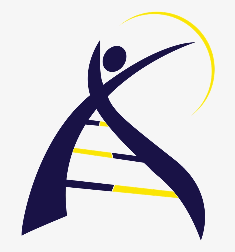 Biomedical Engineering Society Transparent PNG - 686x800 - Free ...