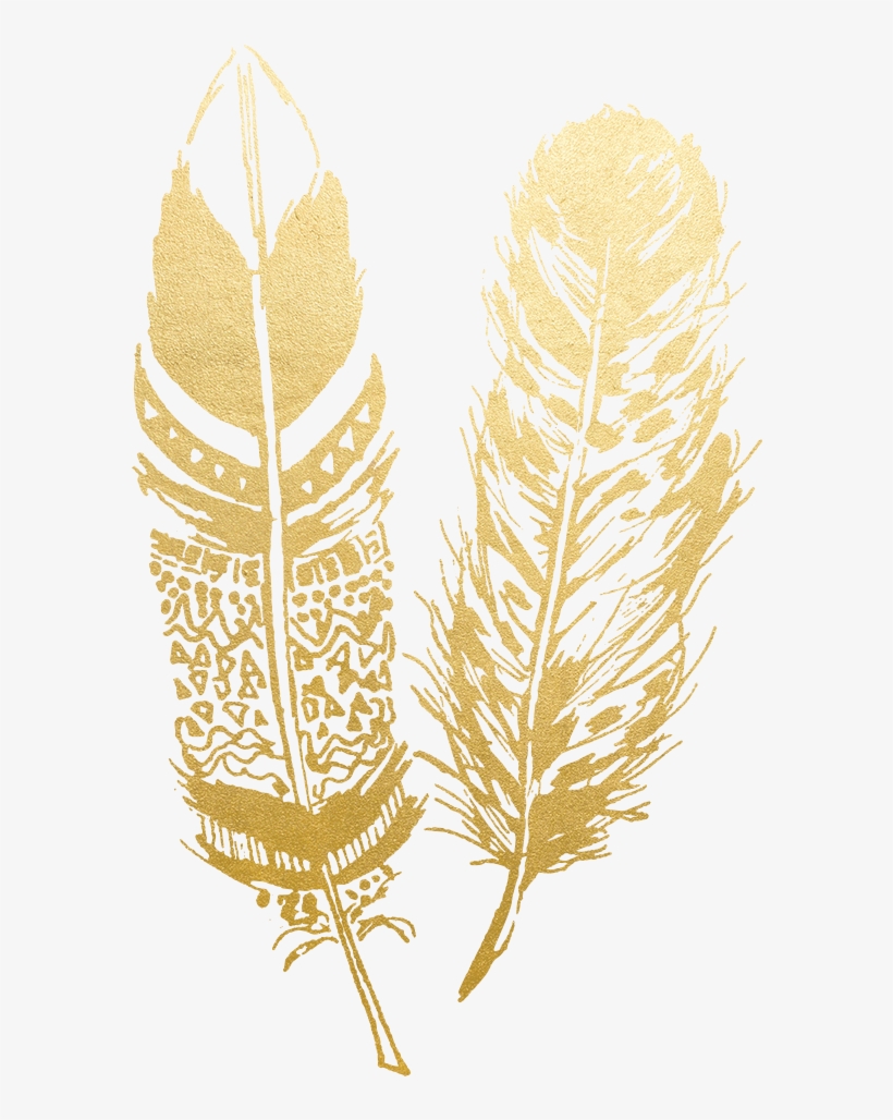 Feather Drawing Boho - Gold Feathers Png Transparent PNG - 1000x1000 ...