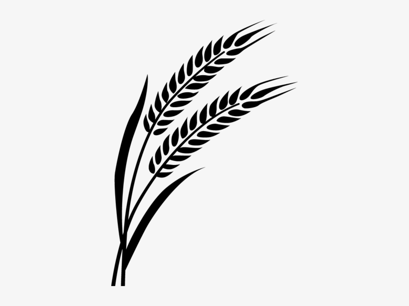 Wheat Silhouette