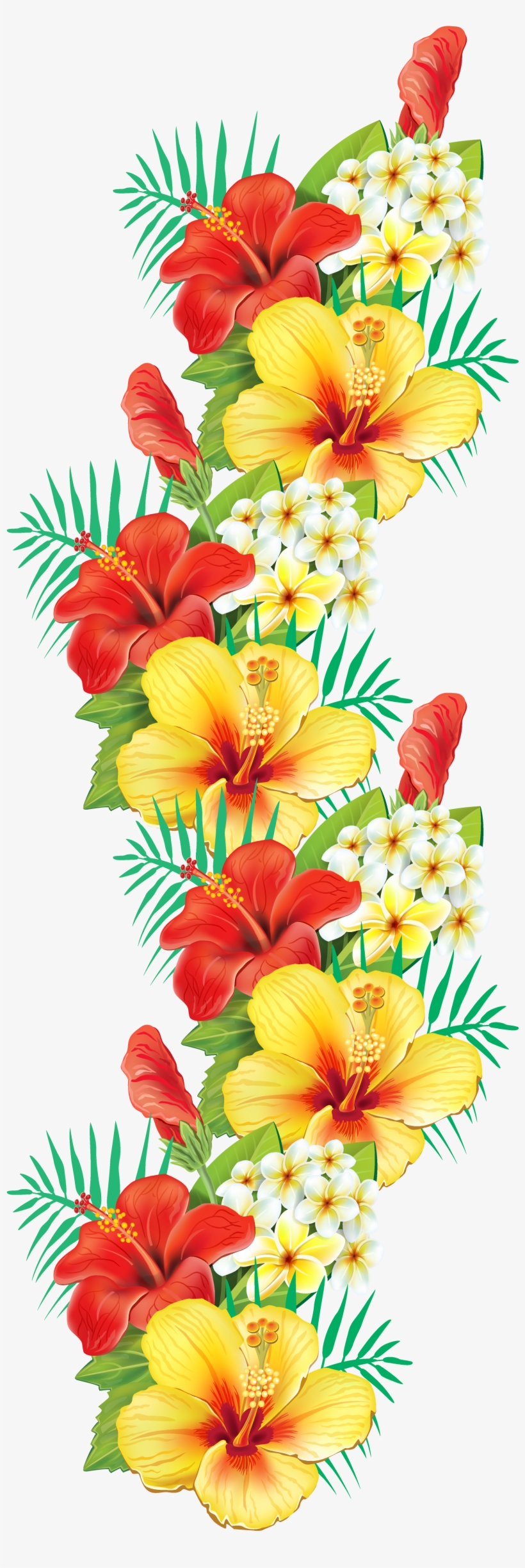 Tropical Flowers Png