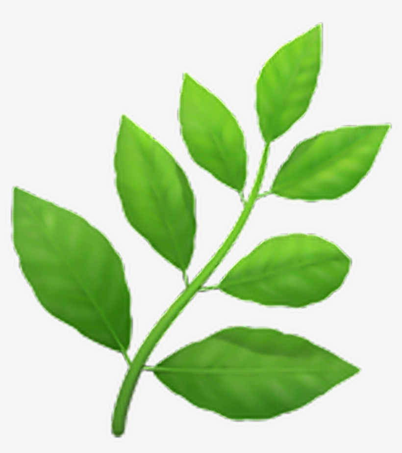 Leaves Emoji Emoticon Iphone Iphoneemo Iphone Herb Emoji Transparent