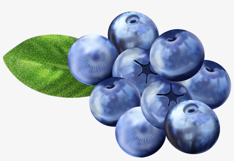 Wild Blueberries Clip Art