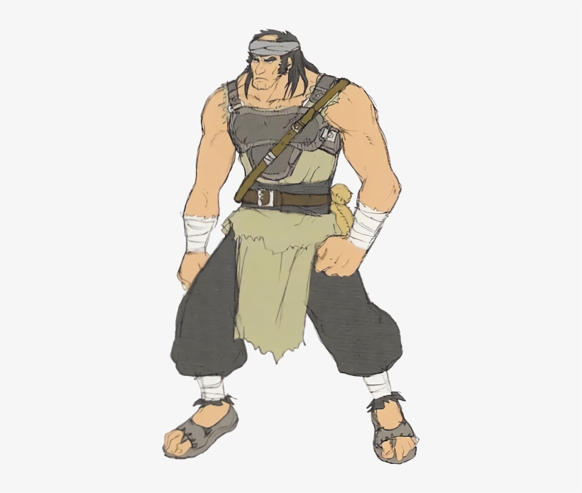 Fire Emblem Brigand Transparent PNG - 363x615 - Free Download on NicePNG