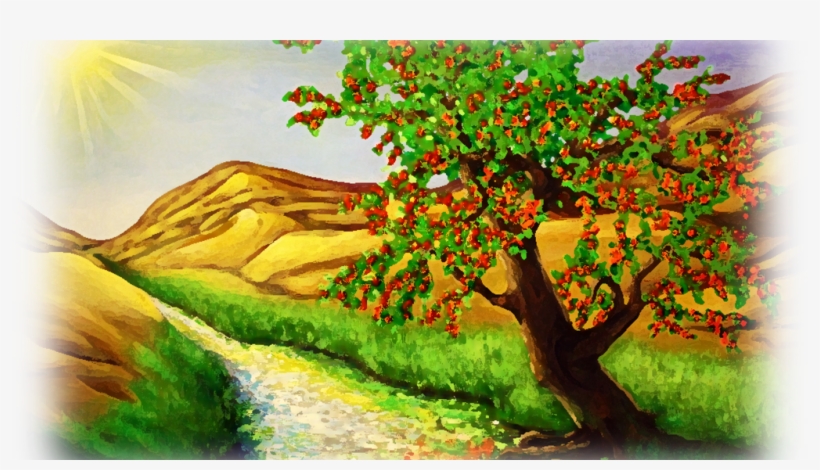 Tree Planted By The Water Transparent PNG - 1022x537 - Free Download on ...