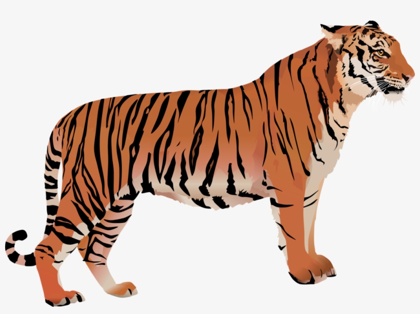 Tigger - Bengal Tiger Transparent Transparent PNG - 1024x716 - Free ...