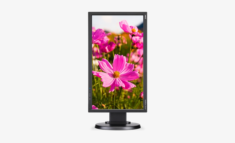 Home/shop/lcd And Crt Monitors - Nec Multisync E203wi - 20" Ips Led ...