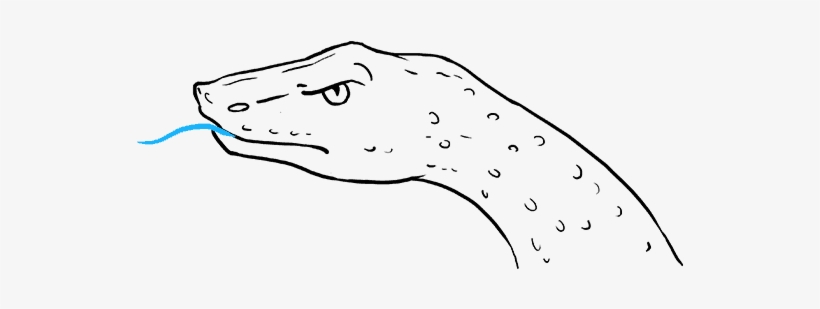 How To Draw Snake Head - Drawing Transparent PNG - 680x678 - Free ...