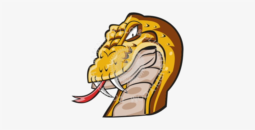 Snake Head Png Transparent PNG - 361x338 - Free Download on NicePNG