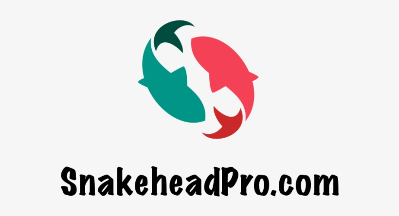 Snakehead Pro - Snail Gets Its Shell Transparent PNG - 1500x398 - Free ...