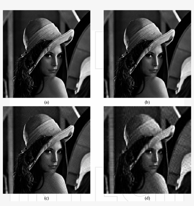 Lena's Image Of Size Reconstructed By Eq - Lenna Transparent PNG ...