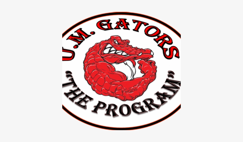 Um Gators - Emblem Transparent PNG - 400x400 - Free Download on NicePNG