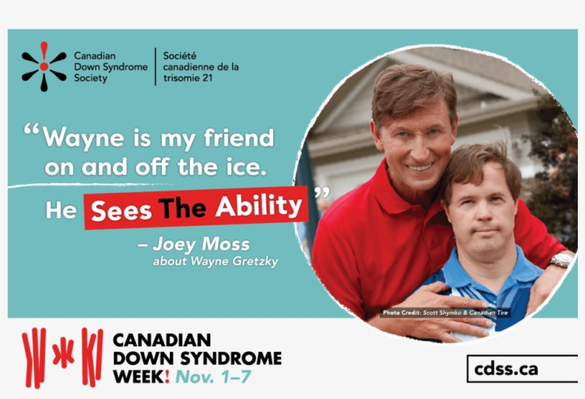 Cdsw School Poster Joeywayne - Flyer Transparent PNG - 1024x663 - Free ...