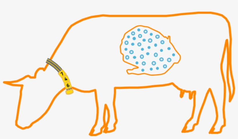 Nedap Smarttag Neck - Cow Rumen Png Transparent PNG - 1070x574 - Free ...