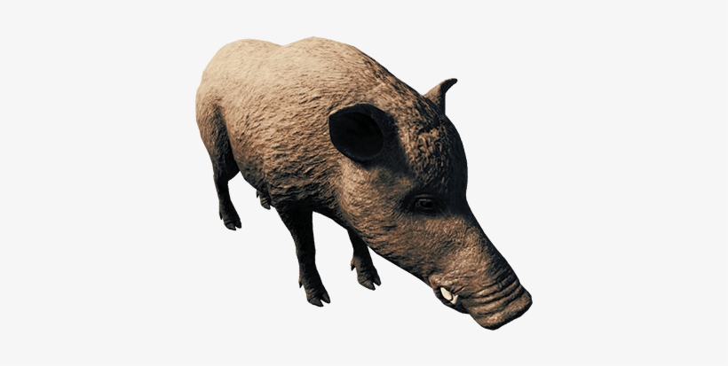 Wild Boar Transparent PNG - 380x380 - Free Download on NicePNG