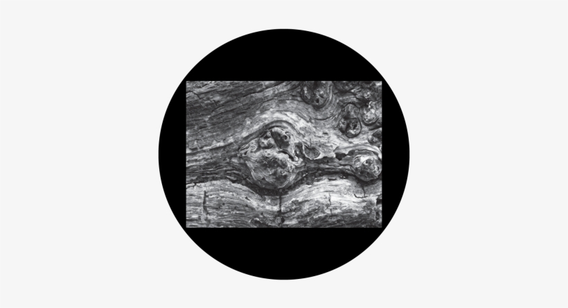 Wood Texture 1 Gobo - Tree Wood Transparent PNG - 400x400 - Free ...