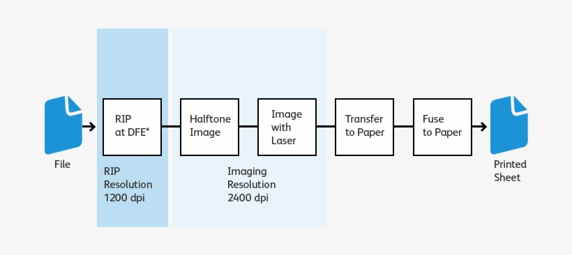 Digital Front End - Diagram Transparent PNG - 700x300 - Free Download ...
