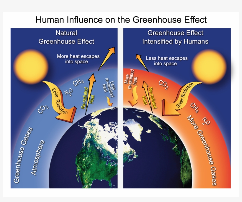 The Greenhouse Effect Clipart Free