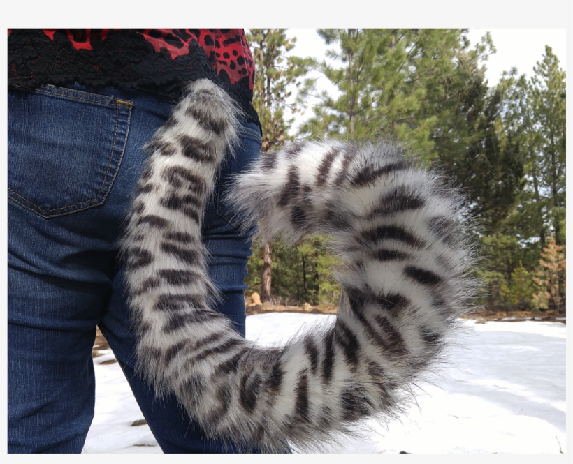 Wew 36" Snow Leopard Tail Transparent PNG - 1200x1200 - Free Download ...