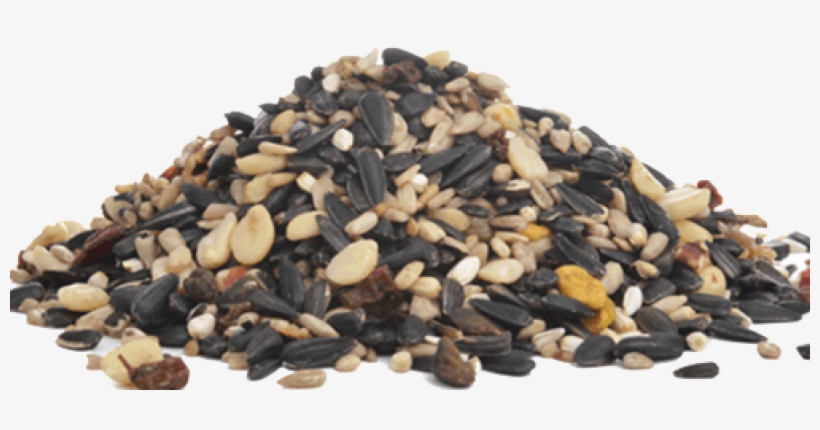 Seeds Clipart Bird Food - Pebble Transparent PNG - 800x350 - Free ...