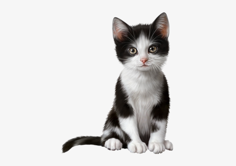 6090083 Pretty Kitty3 - Clip Art Kot Transparent PNG - 430x699 - Free ...