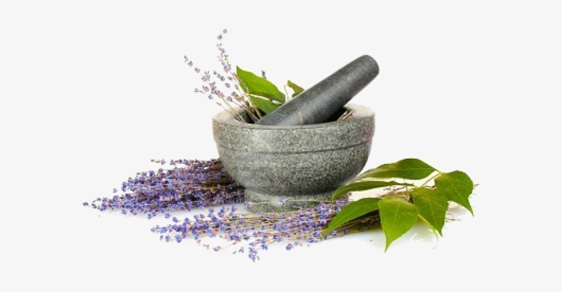 Herbs - 7 Day All Natural Cleanse/detox Transparent PNG - 640x400 ...