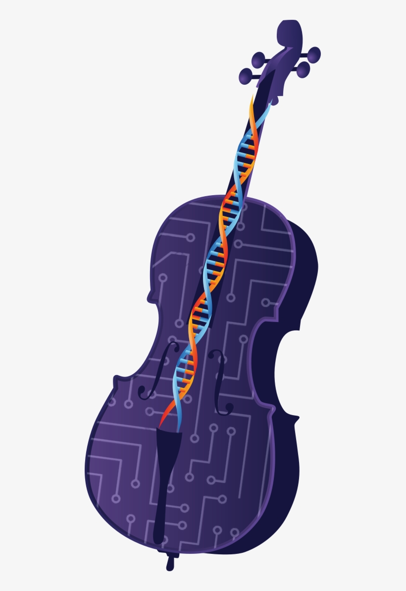 Cellocad Transparent PNG - 477x1113 - Free Download on NicePNG