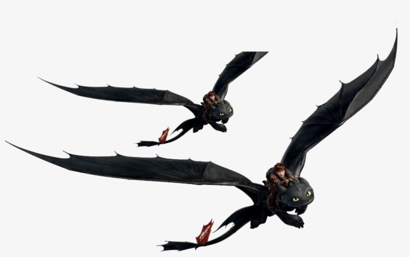 Download Toothless Flying Complete By Waranto-d98l6gy - Train Your ...