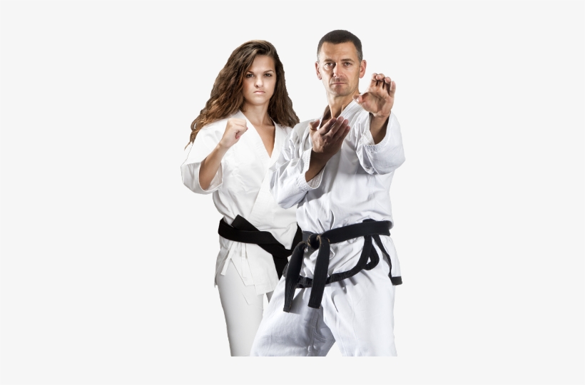 Championship Martial Arts - Hand Transparent PNG - 331x480 - Free ...